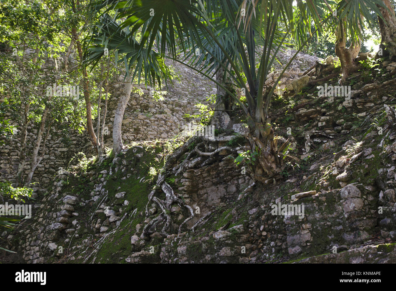 Cobá, Pyramid La Iglesia, Quintana Roo, Mexico Stock Photo - Alamy