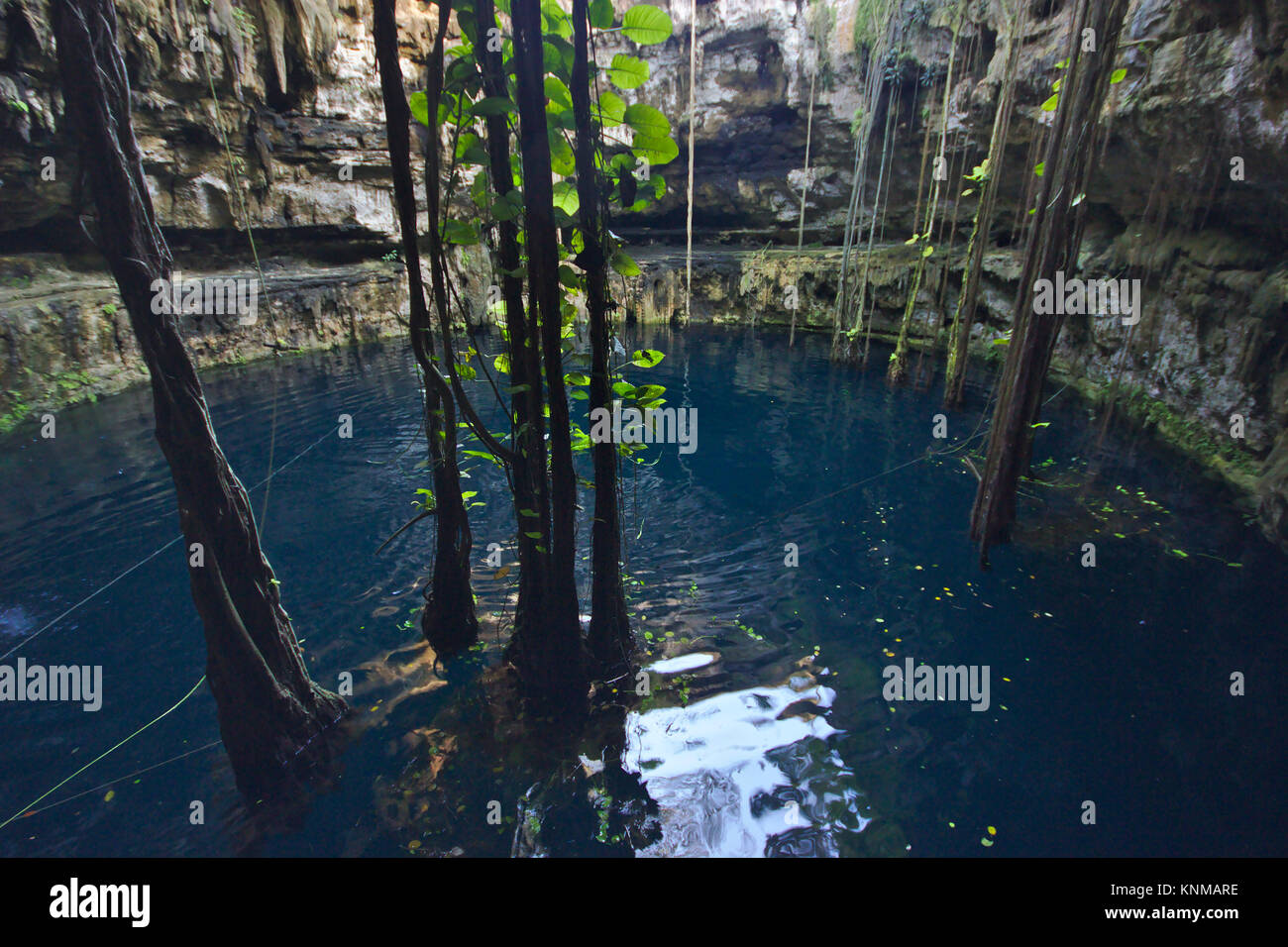 Cenote Oxman near Valladolid, Yucatán, Mexico Stock Photo - Alamy