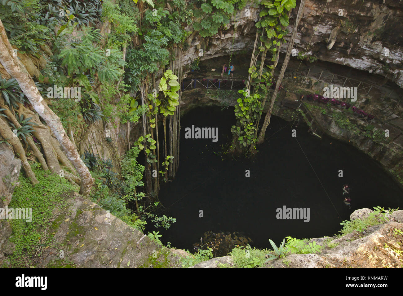 Cenote Oxman near Valladolid, Yucatán, Mexico Stock Photo - Alamy