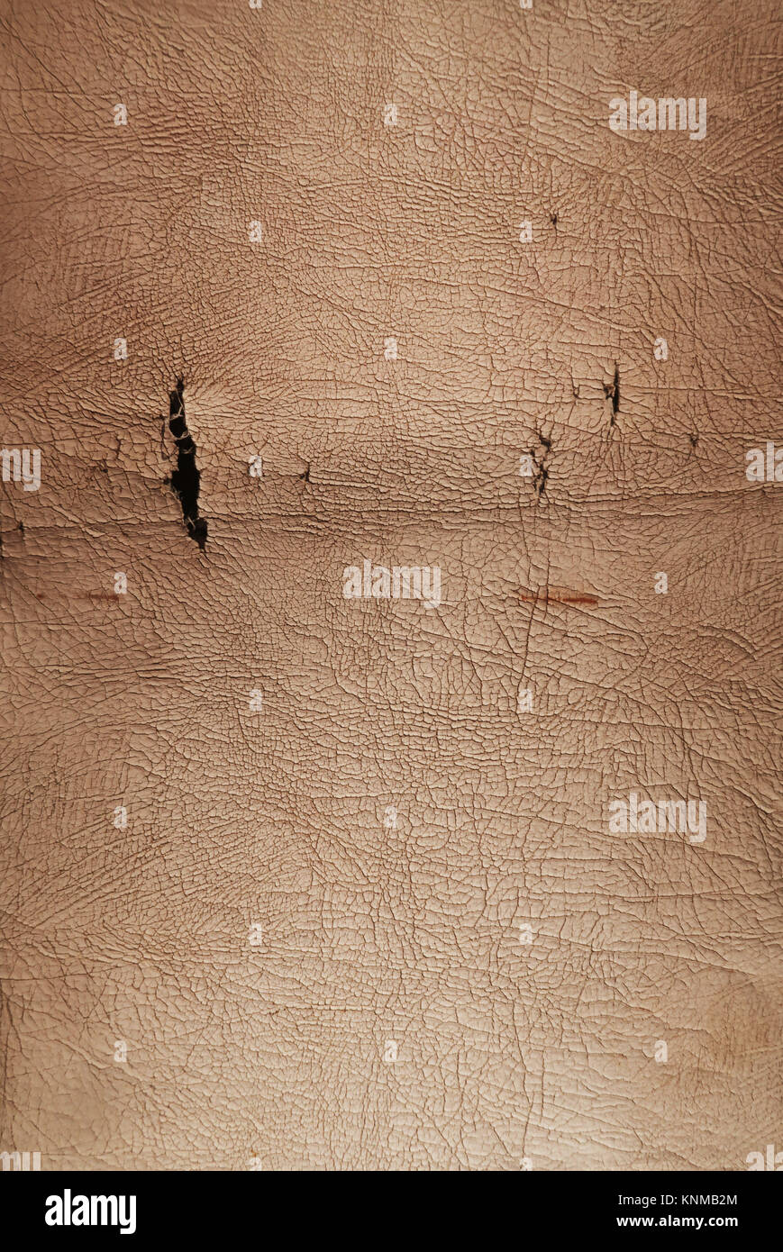 old leather texture Stock Photo - Alamy