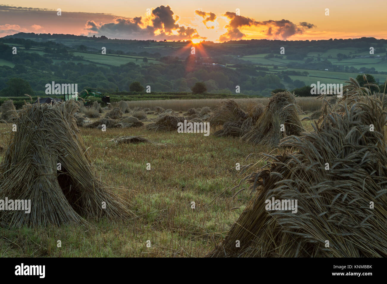Traditional farming methods hi-res stock photography and images - Alamy