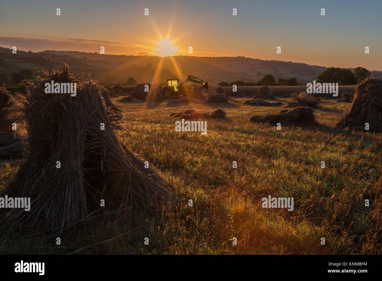 Traditional farming methods hi-res stock photography and images - Alamy