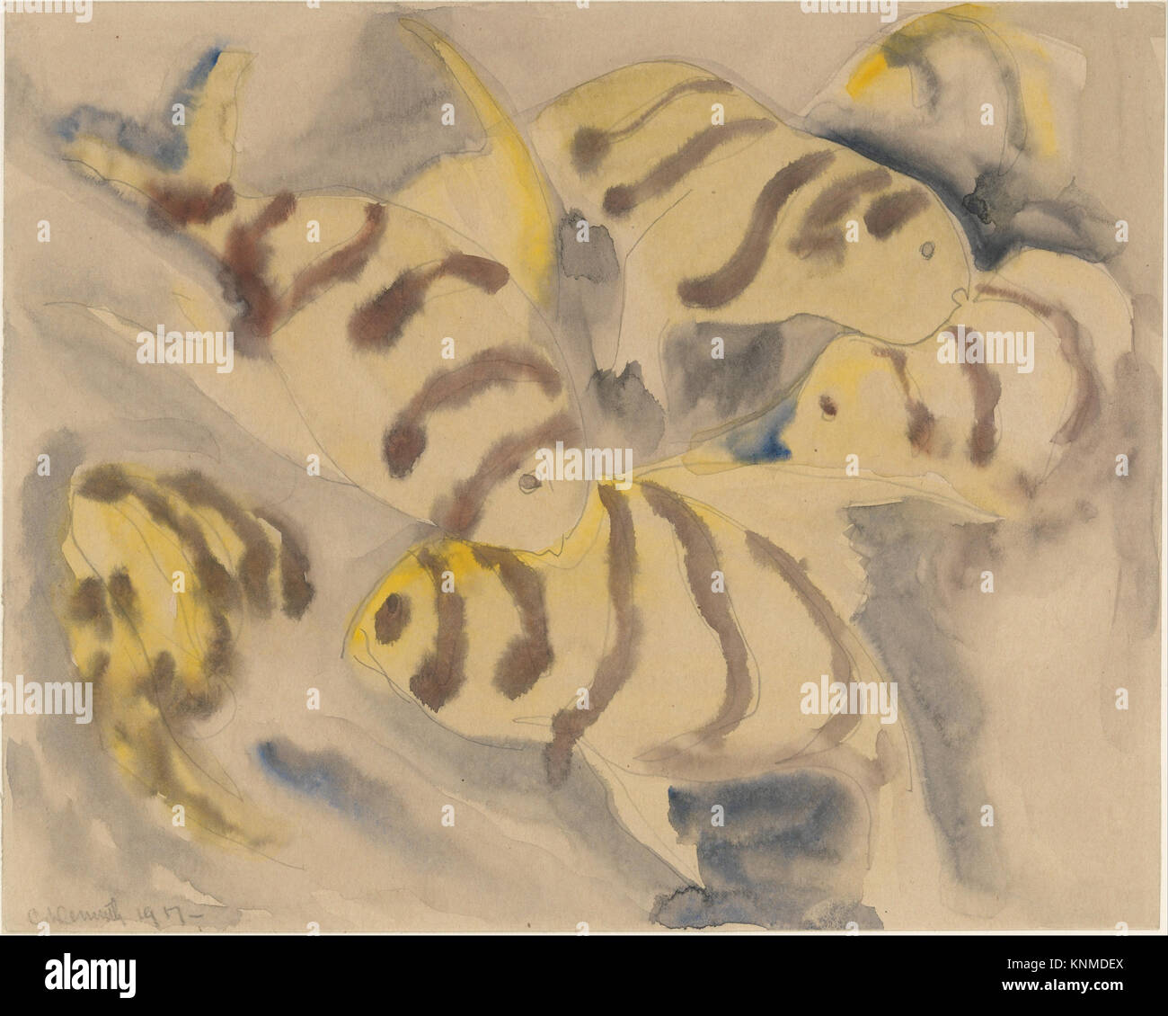 Fish Series, No. 3, Artist: Charles Demuth (American, Lancaster ...