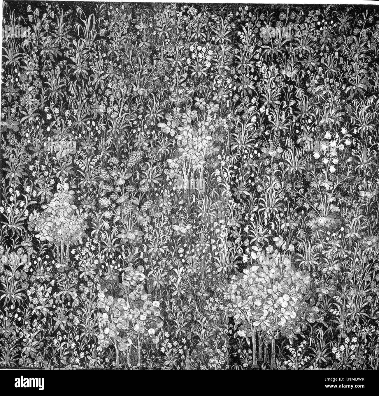 Medium warp hi-res stock photography and images - Alamy