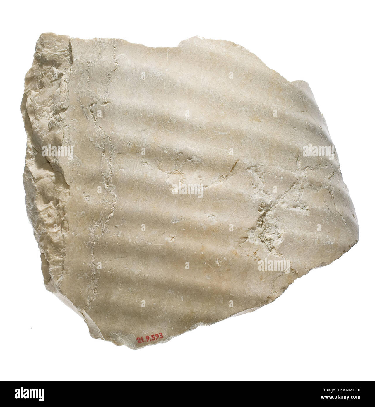 A New Kingdom pleated garment fragment, likely male, carved in ...