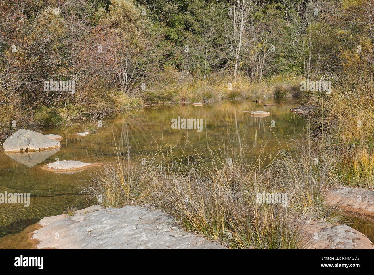 La muga hi-res stock photography and images - Alamy