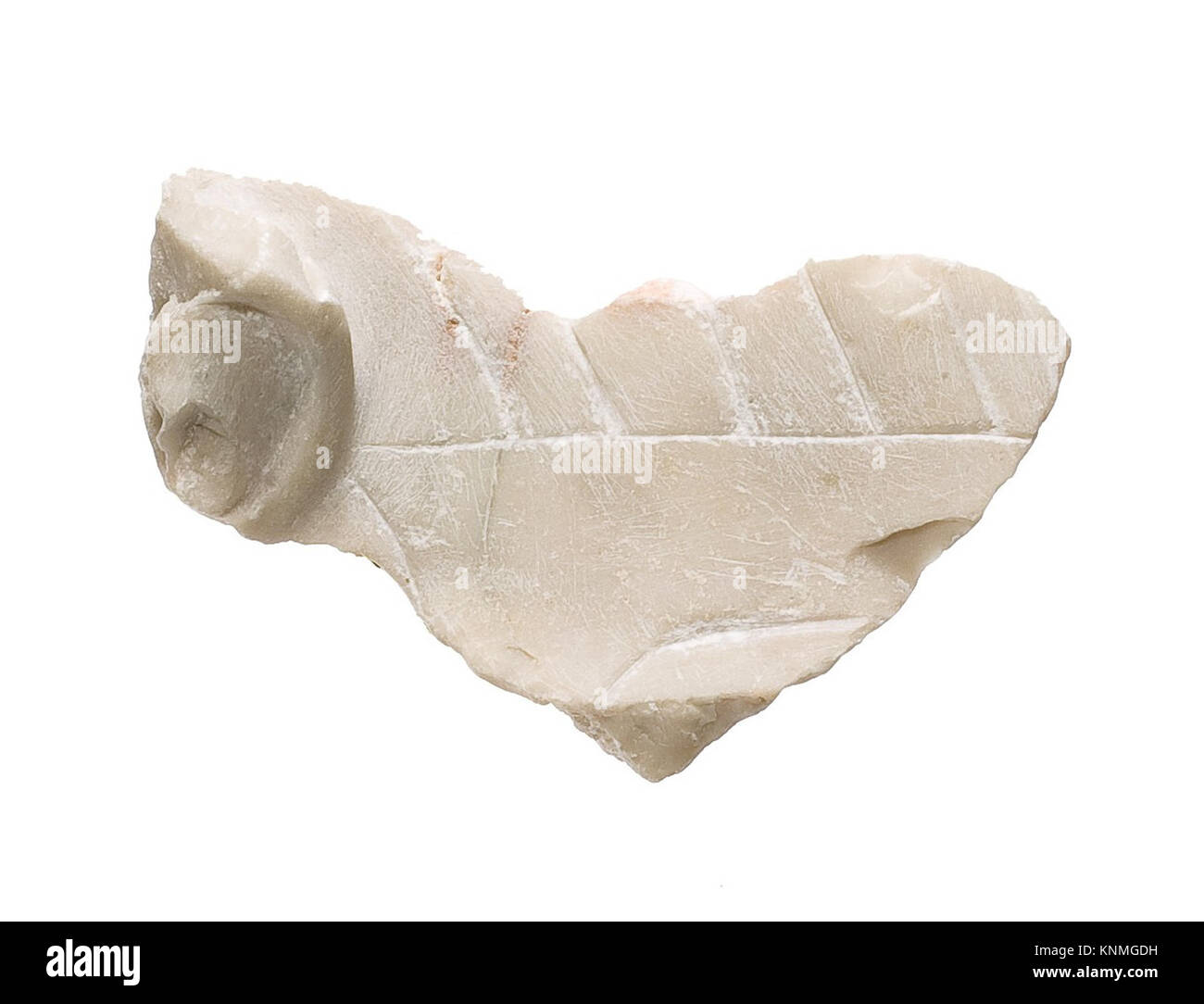 The head of Akhenaten, showing the nemes portion, from the Metropolitan ...