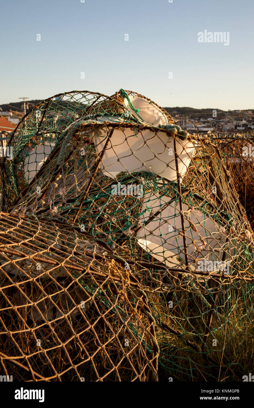 Stack of traps for cod in Bonavista harbor, Newfoundland, Canada Stock ...