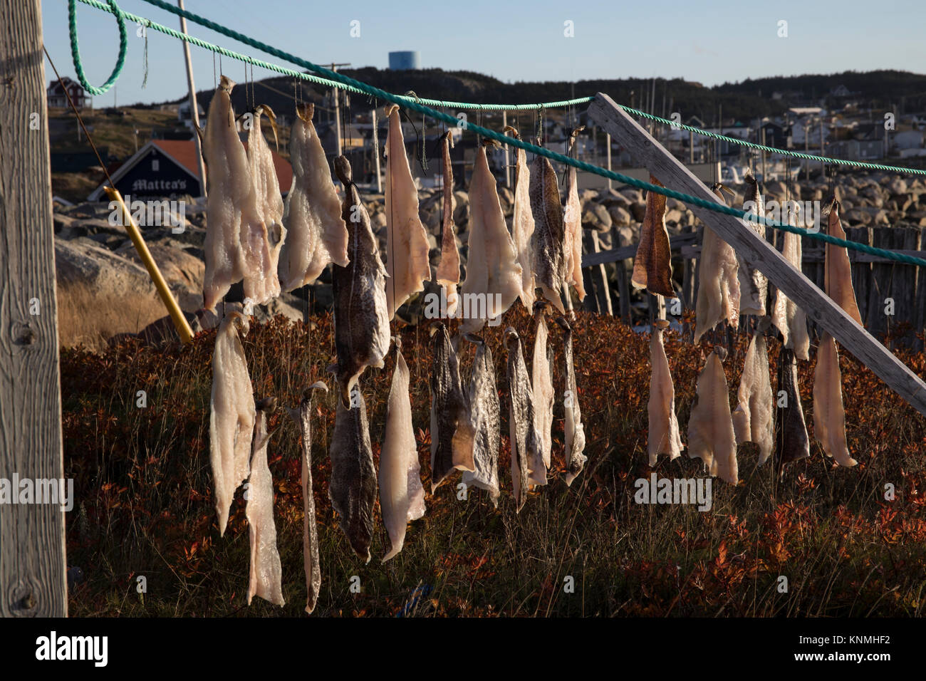 Salt cod drying hi-res stock photography and images - Alamy