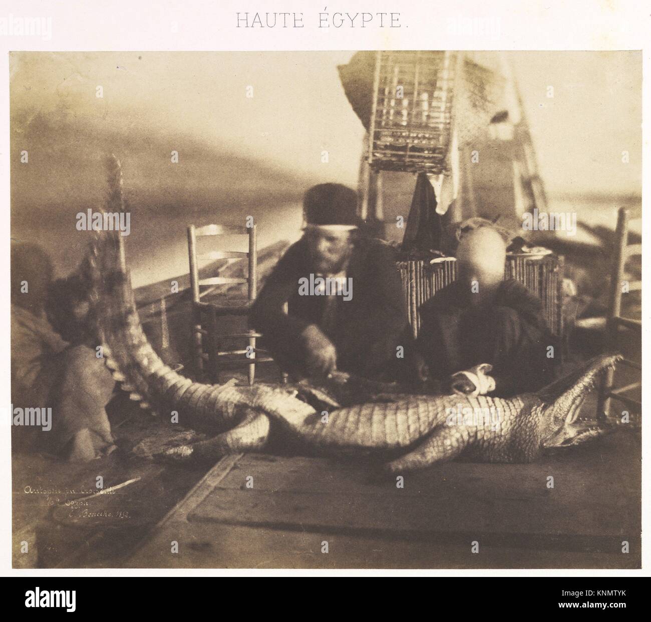 Autopsy of the First Crocodile Onboard, Upper Egypt. Artist: Ernest ...