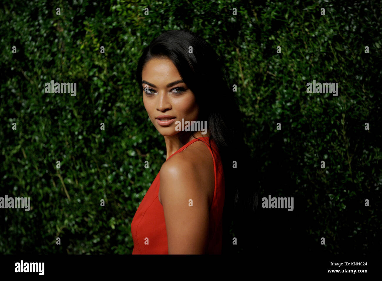 NEW YORK, NY - OCTOBER 15: Shanina Shaik attends God's Love We Deliver ...