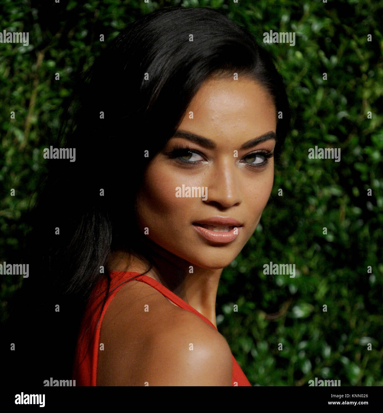 NEW YORK, NY - OCTOBER 15: Shanina Shaik attends God's Love We Deliver ...