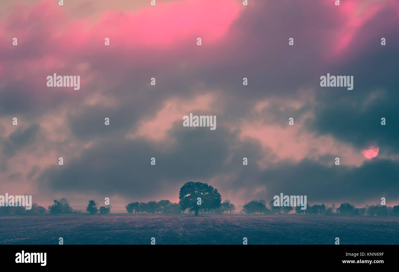 abstract filtered infrared landscape, sunset colored in red over the ...