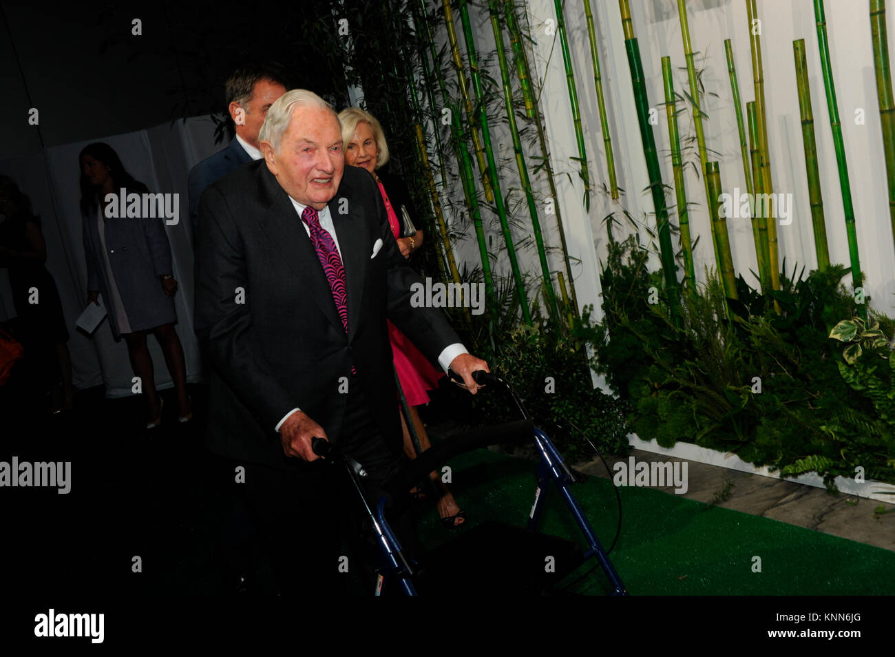 NEW YORK, NY - JUNE 02: David Rockefeller attends the 2015 Museum of ...