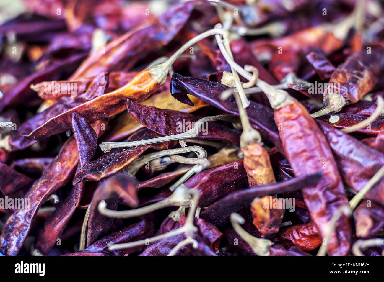 Close up of Capsicum annuum L,Dried red chilli Stock Photo - Alamy