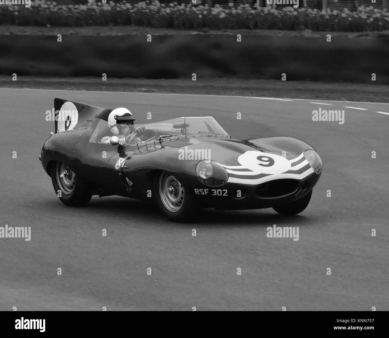 Christian Glaesel, Jaguar D-Type, Long nose, RSF 302, Salvadori Cup ...