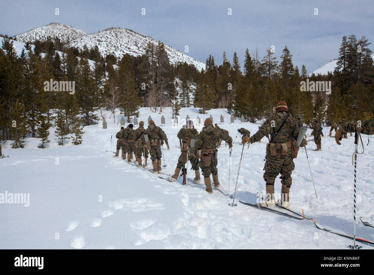 Marines with 2nd Battalion, 2nd Marine Regiment, prepare for ski drills ...