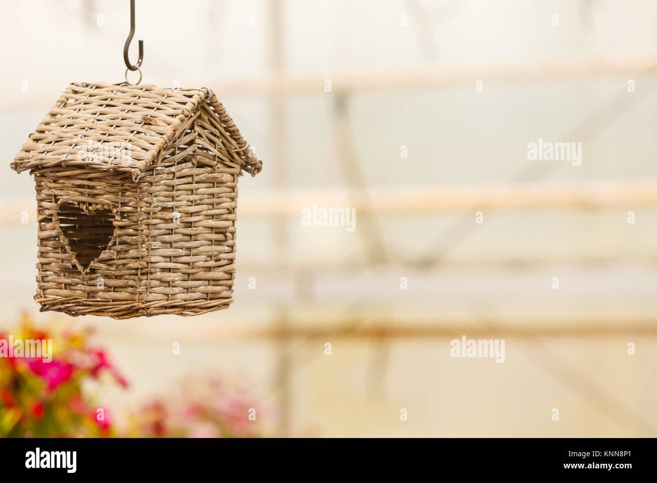 Animal house, taking care concept. Hanging under ceiling wicker houses ...