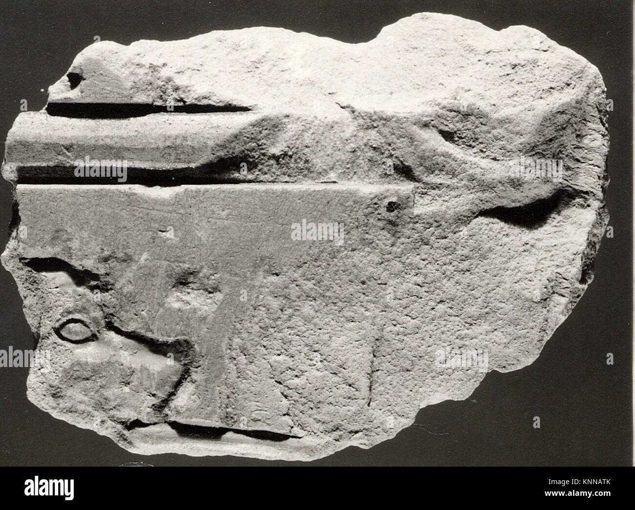 A sculpted or illustrated representation of a baboon's face, preserved ...
