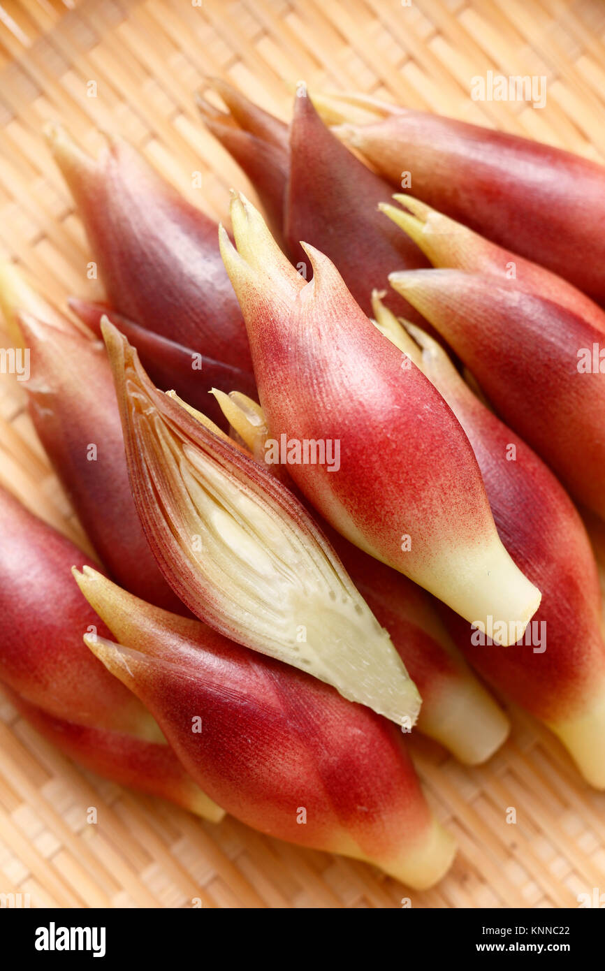 Zingiber mioga hi-res stock photography and images - Alamy