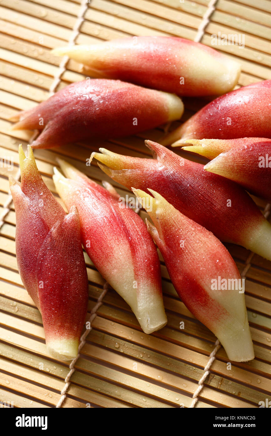 Zingiber mioga hi-res stock photography and images - Alamy