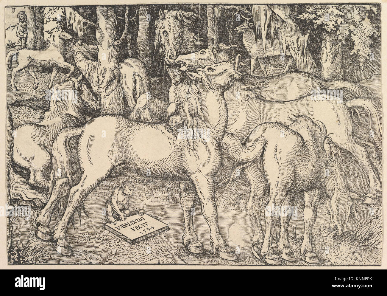 Group of seven horses hi-res stock photography and images - Alamy