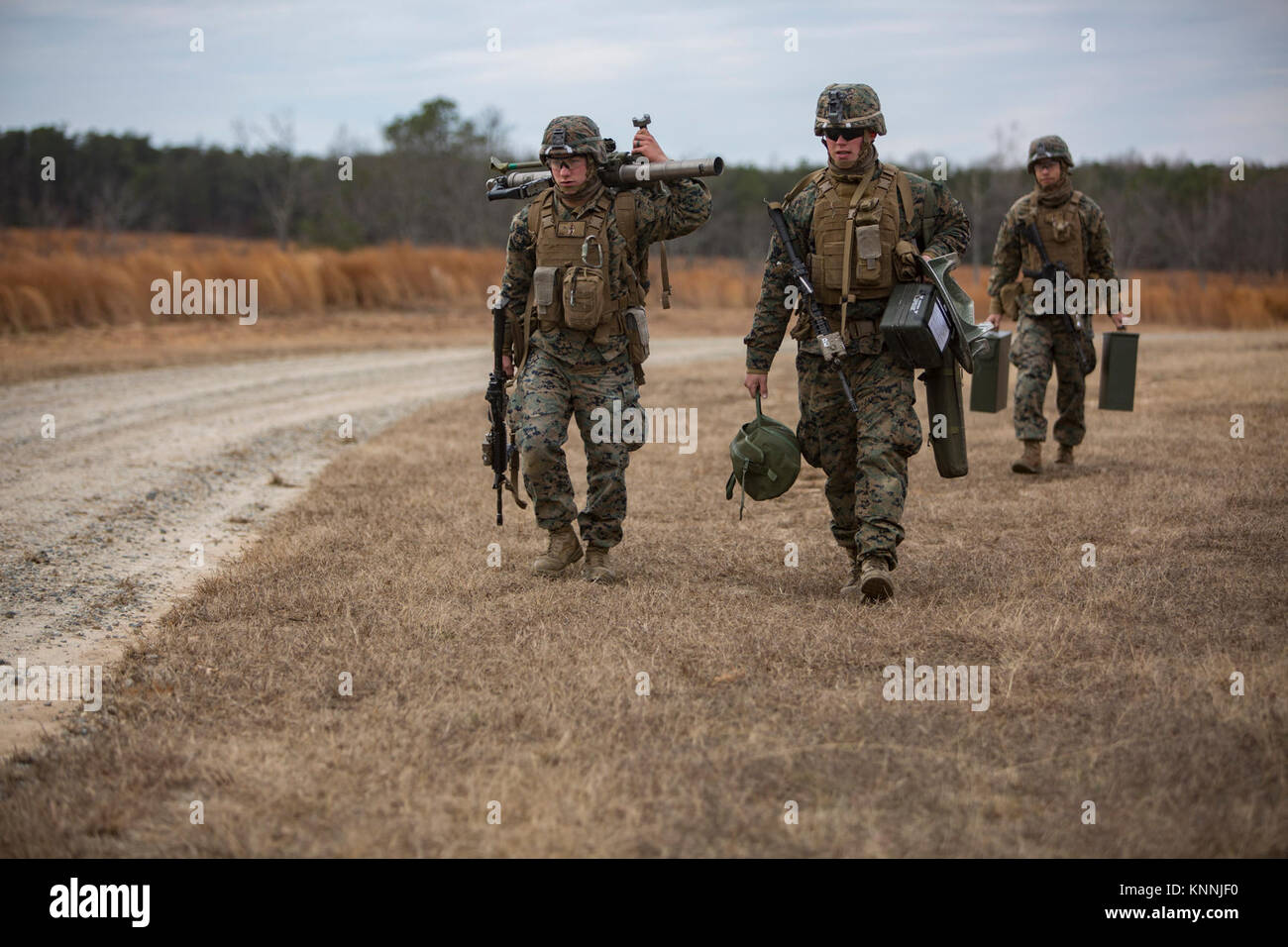 U.S. Marines with Company F., 2nd Battalion, 8th Marine Regiment, carry ...