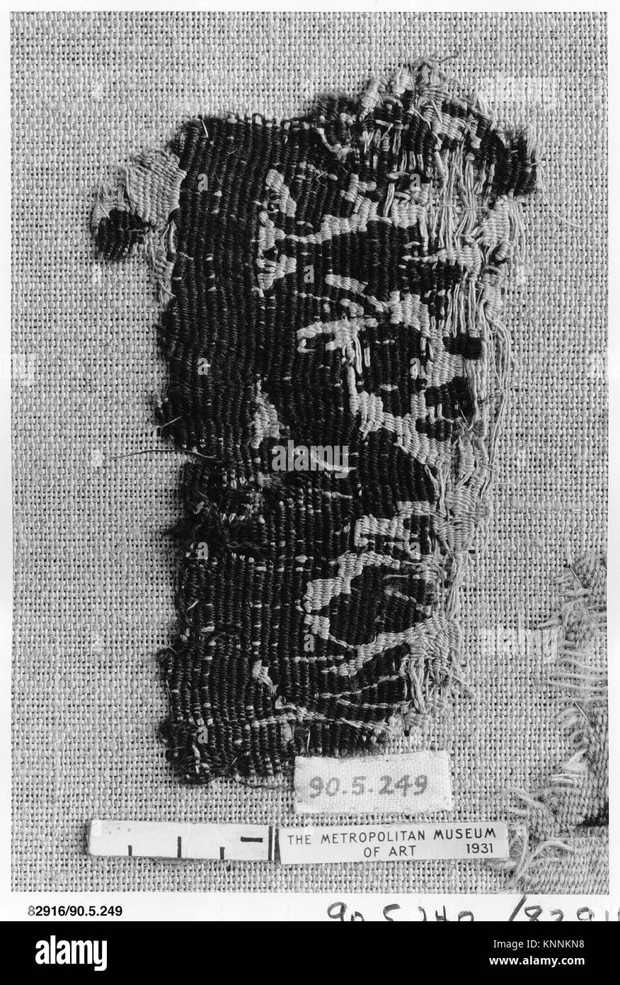 Fragment showing material, form, and surface texture, preserved for ...