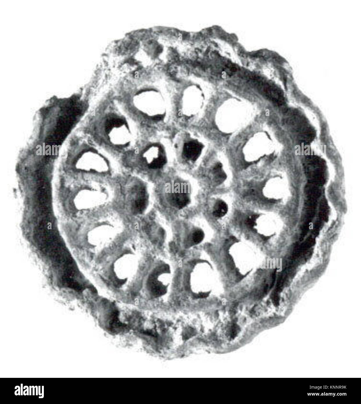 Compartmented stamp seal MET SS1982 445 4 326700 Stock Photo - Alamy