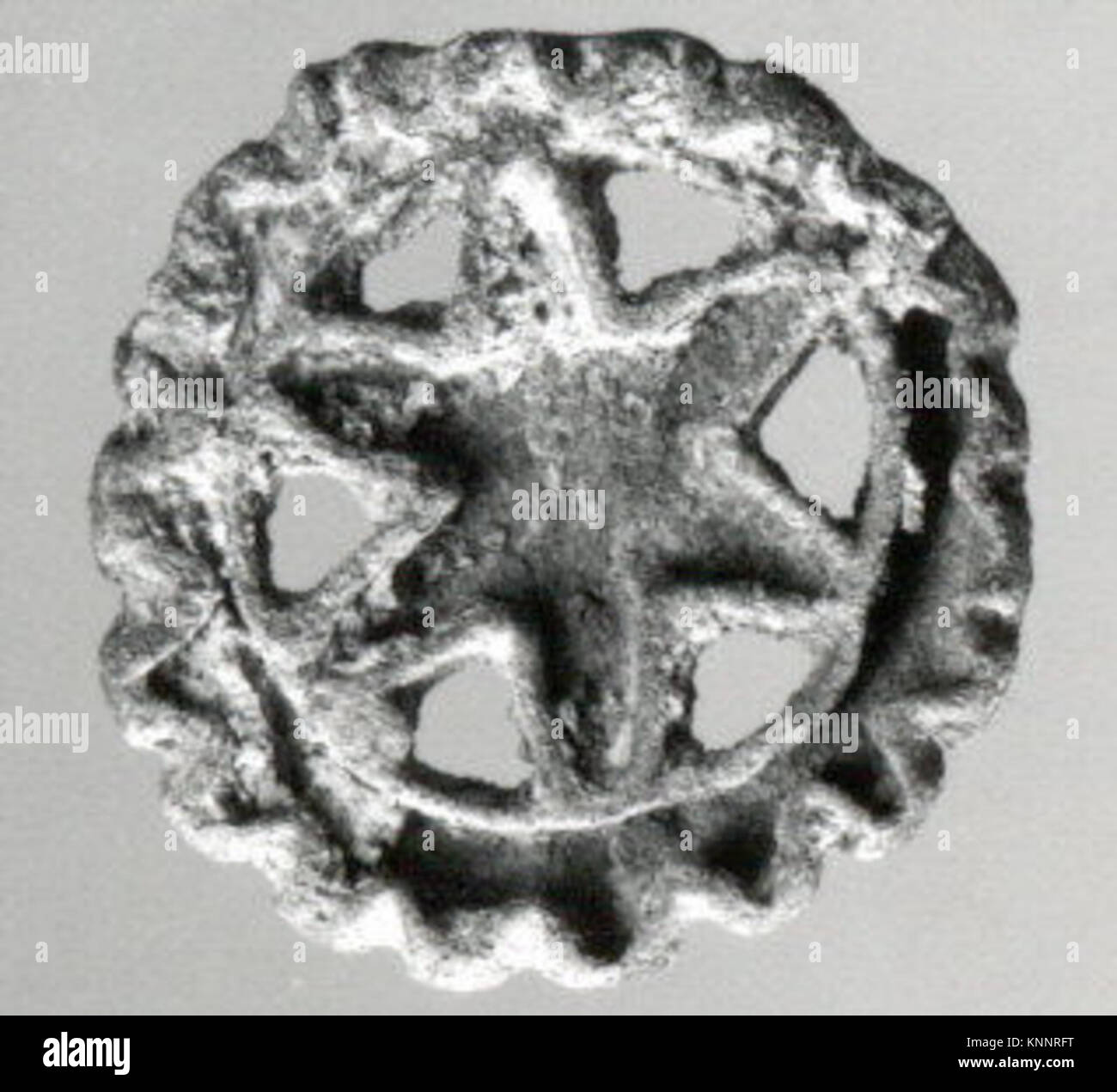 Compartmented hi-res stock photography and images - Alamy