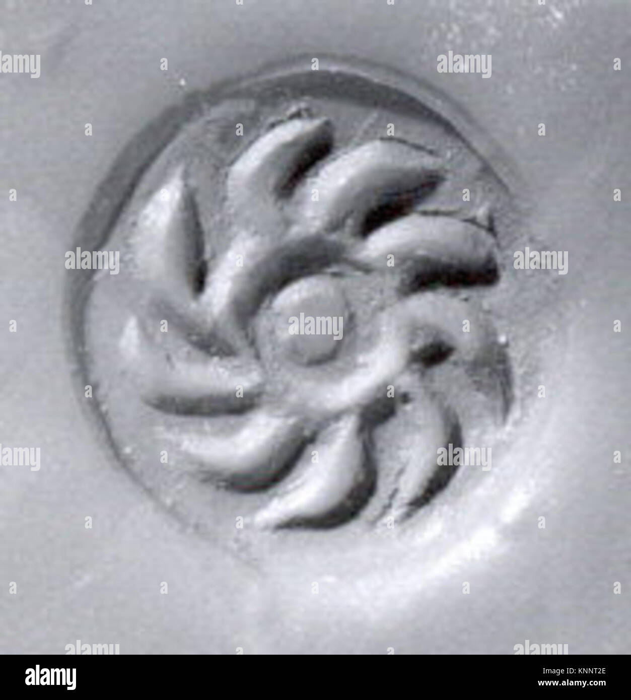 Carinated lentoid seal hi-res stock photography and images - Alamy