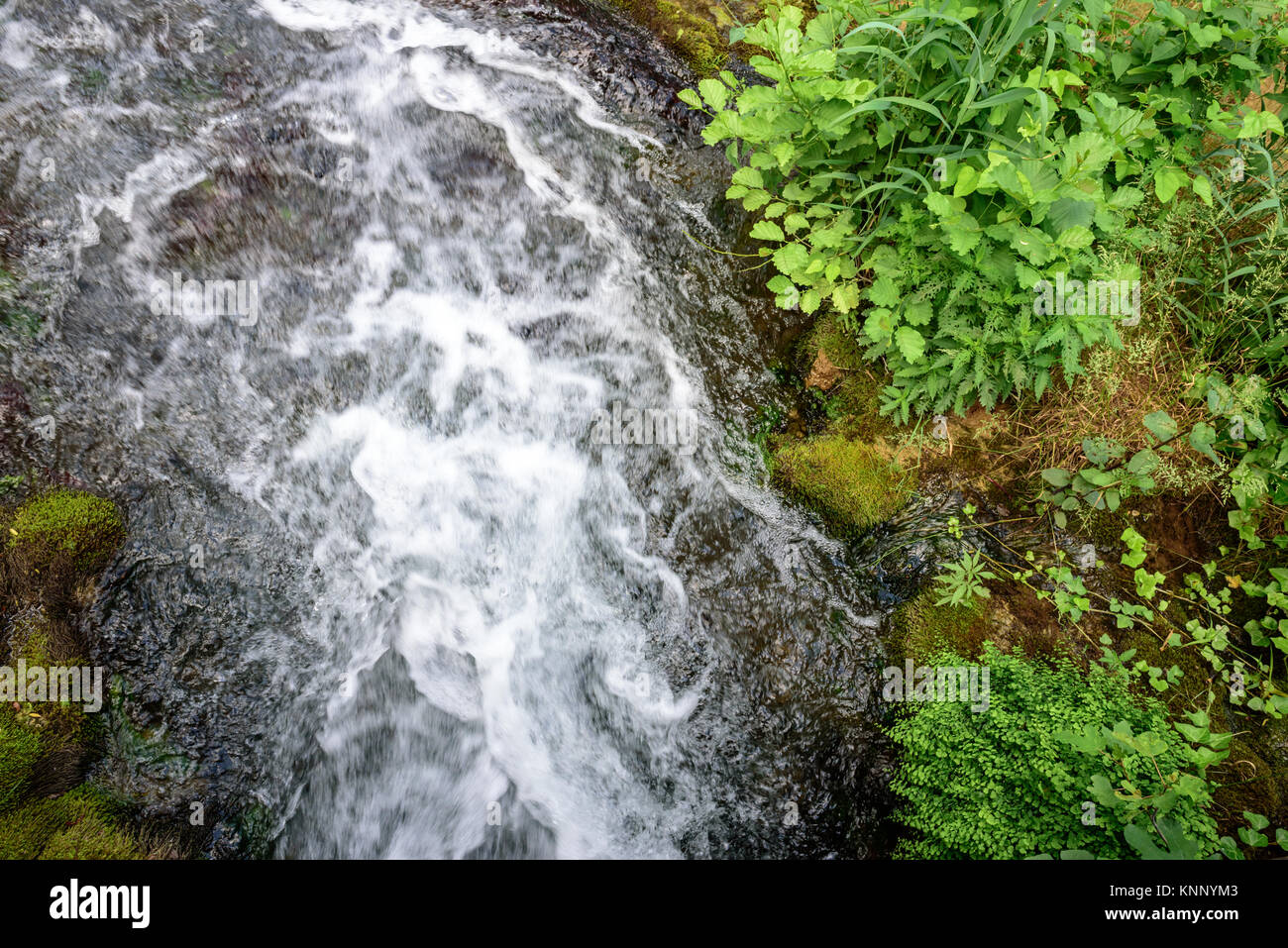 Clean water view in Krka National Park ,one of the Croatian national ...