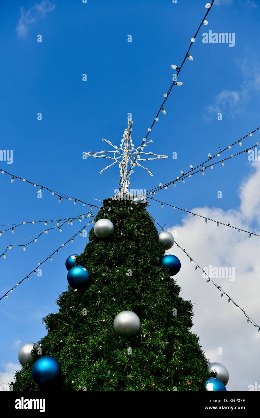 Usa holiday tree hi-res stock photography and images - Alamy