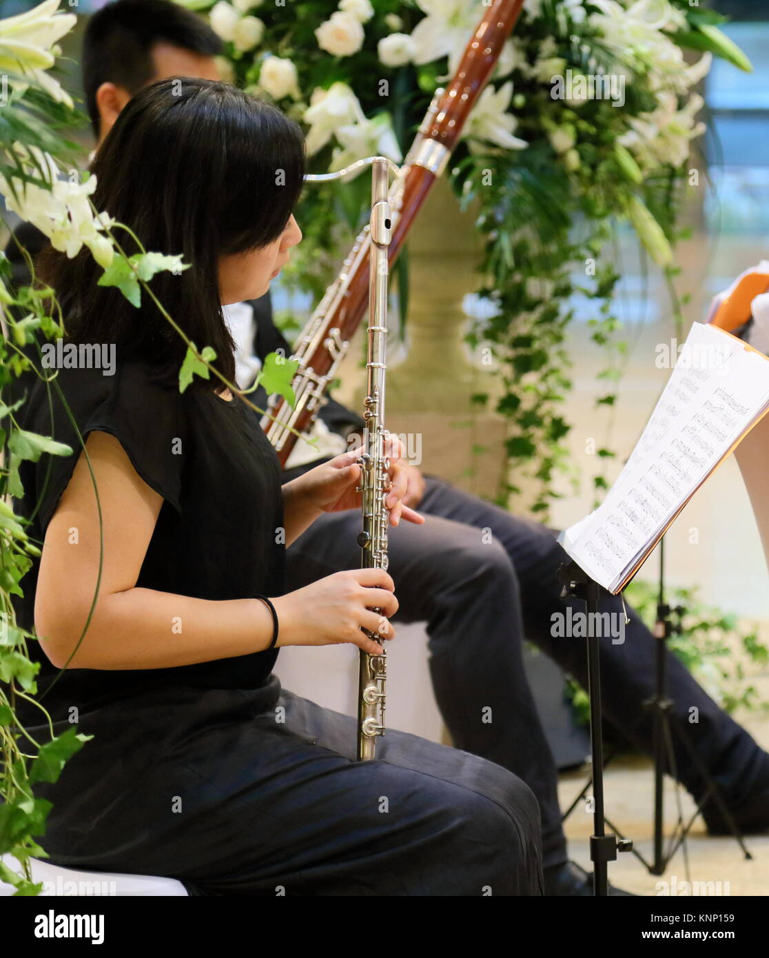 Symphony instruments hi-res stock photography and images - Alamy