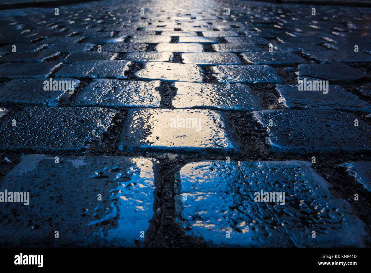 Cobblestone Path Closeup Texture Afternoon Blue Progress Goals Walkway ...