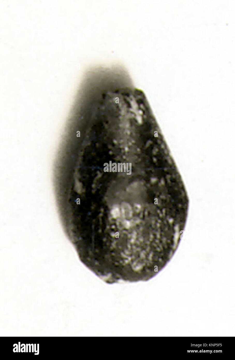 Artifact wearable object Cut Out Stock Images & Pictures - Alamy