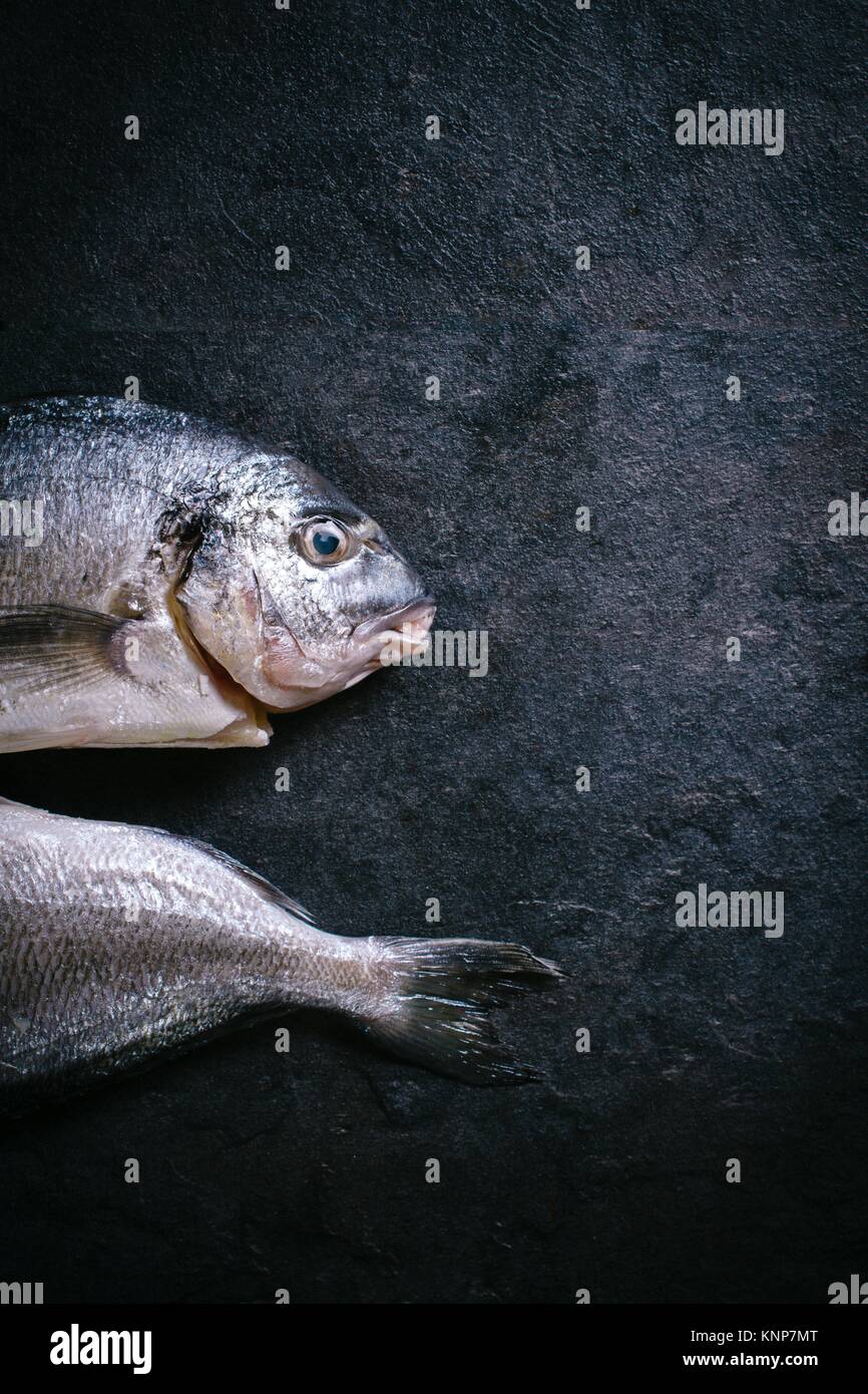 Fishing longline mediterranean hi-res stock photography and images - Alamy