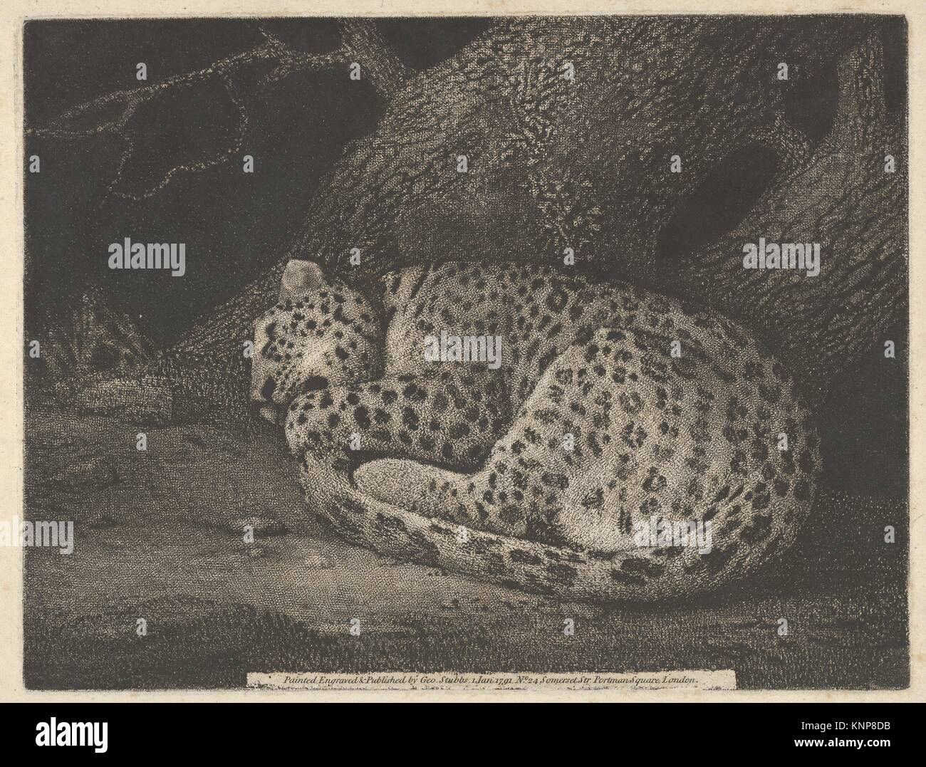 Soft State High Resolution Stock Photography and Images - Alamy