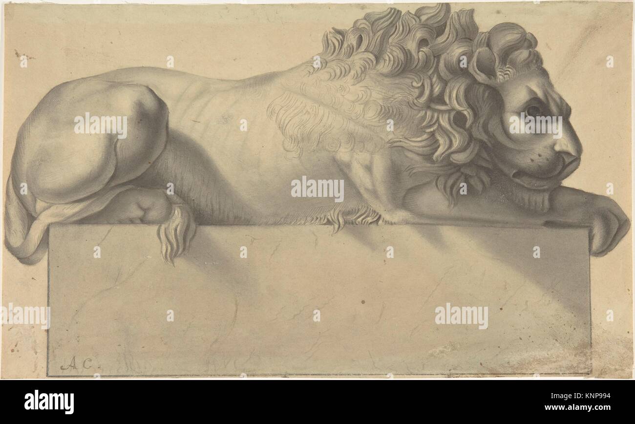 Lion Line Drawing High Resolution Stock Photography and Images - Alamy
