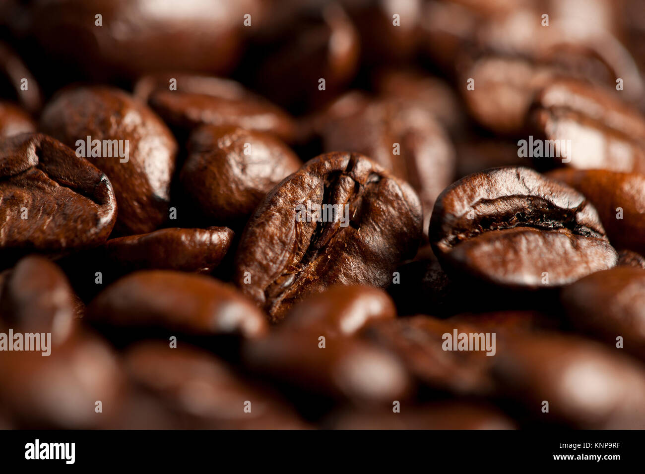 close up coffee bean Stock Photo - Alamy