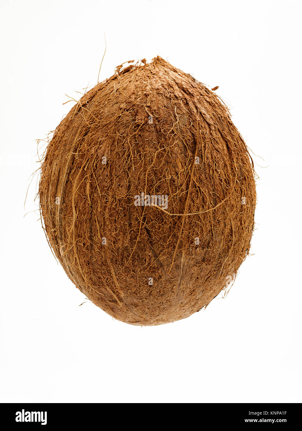 Coconut textures hi-res stock photography and images - Alamy
