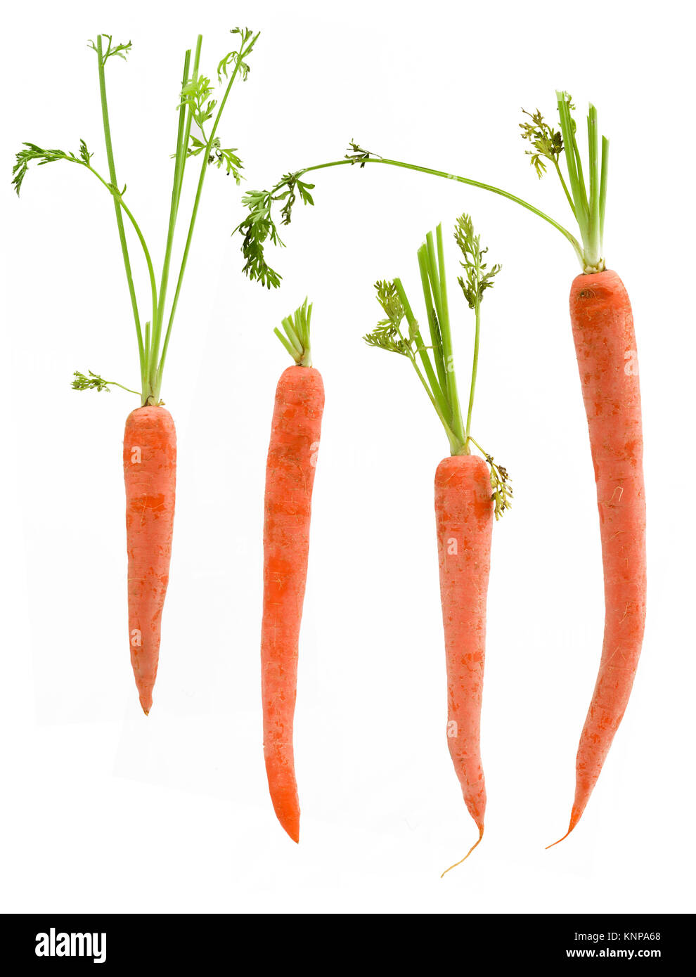Four carrots hi-res stock photography and images - Alamy
