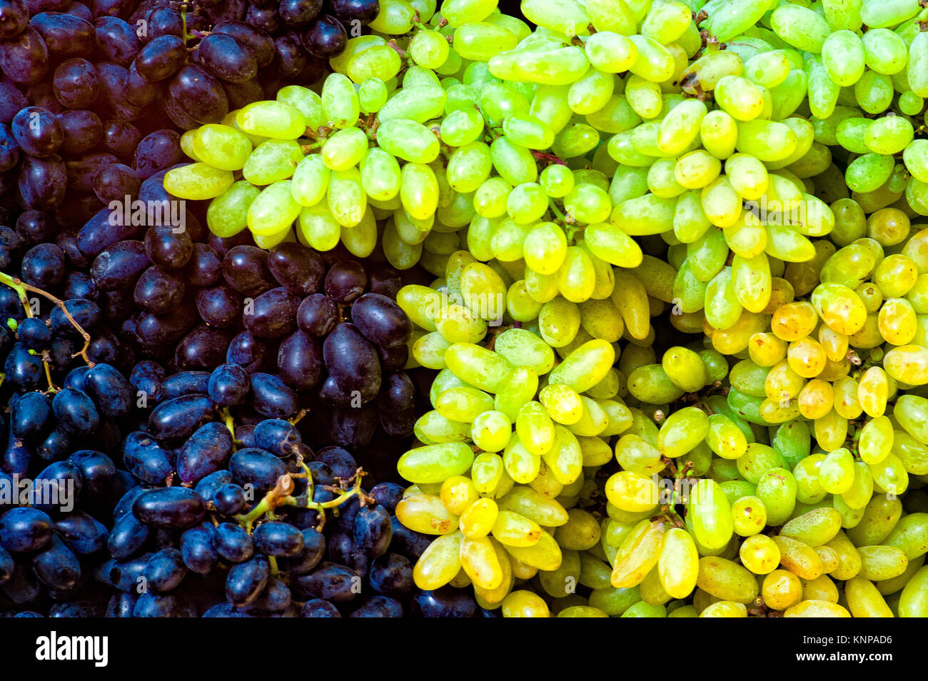 Grape only hi-res stock photography and images - Alamy