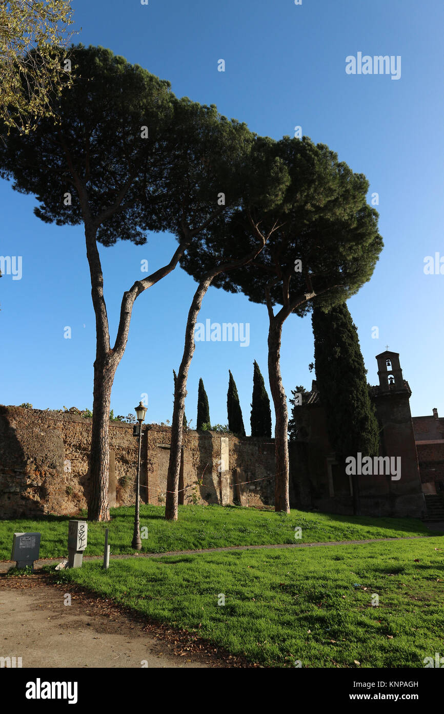 Walls of the Anfiteatro Castrense with maritime pines. Rome, Italy ...