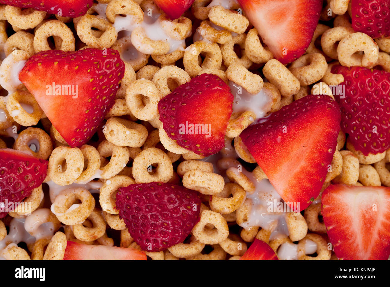 macro corn flakes rings Stock Photo - Alamy