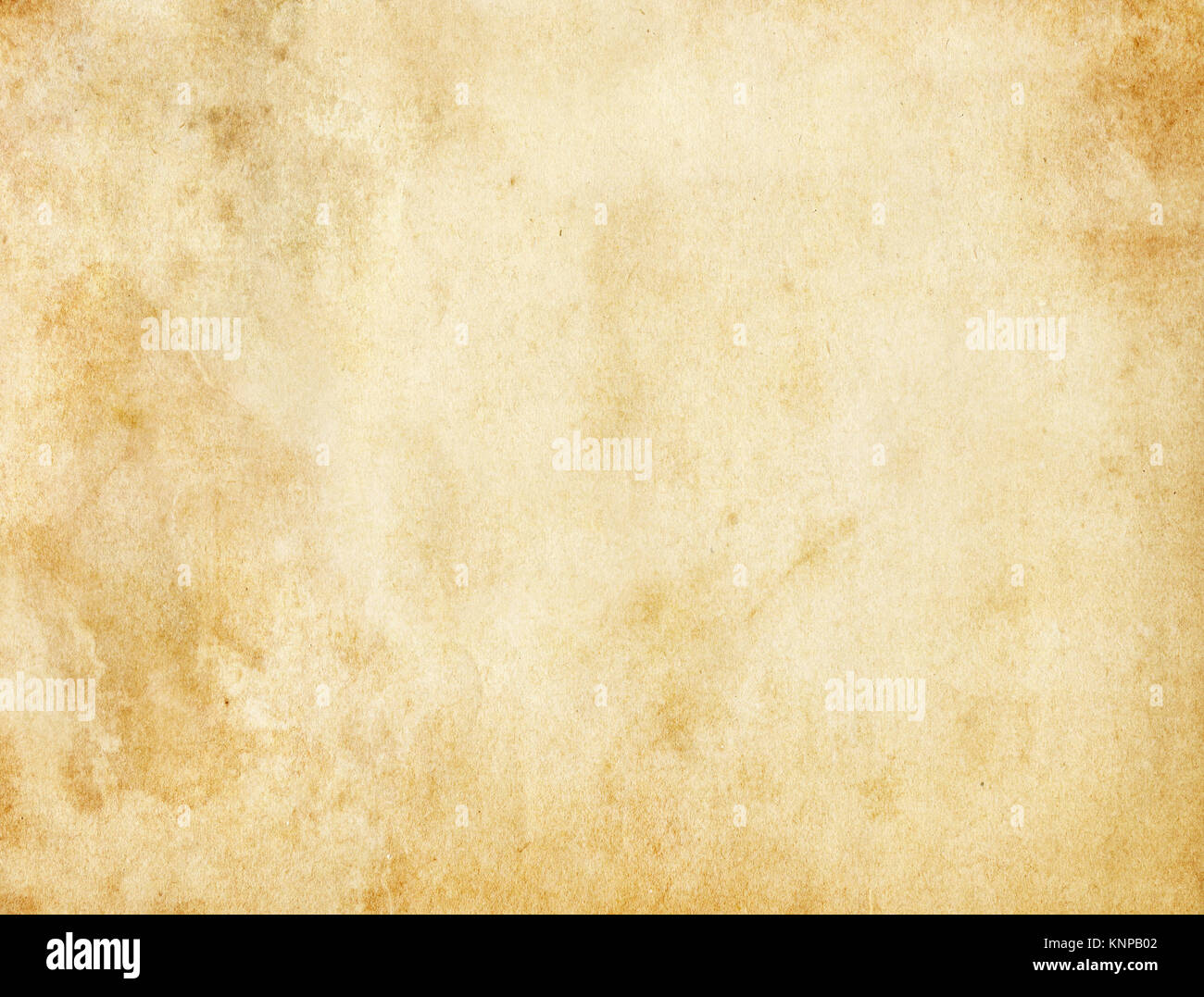 Aged and yellowed paper background for the design. Grunge paper texture ...