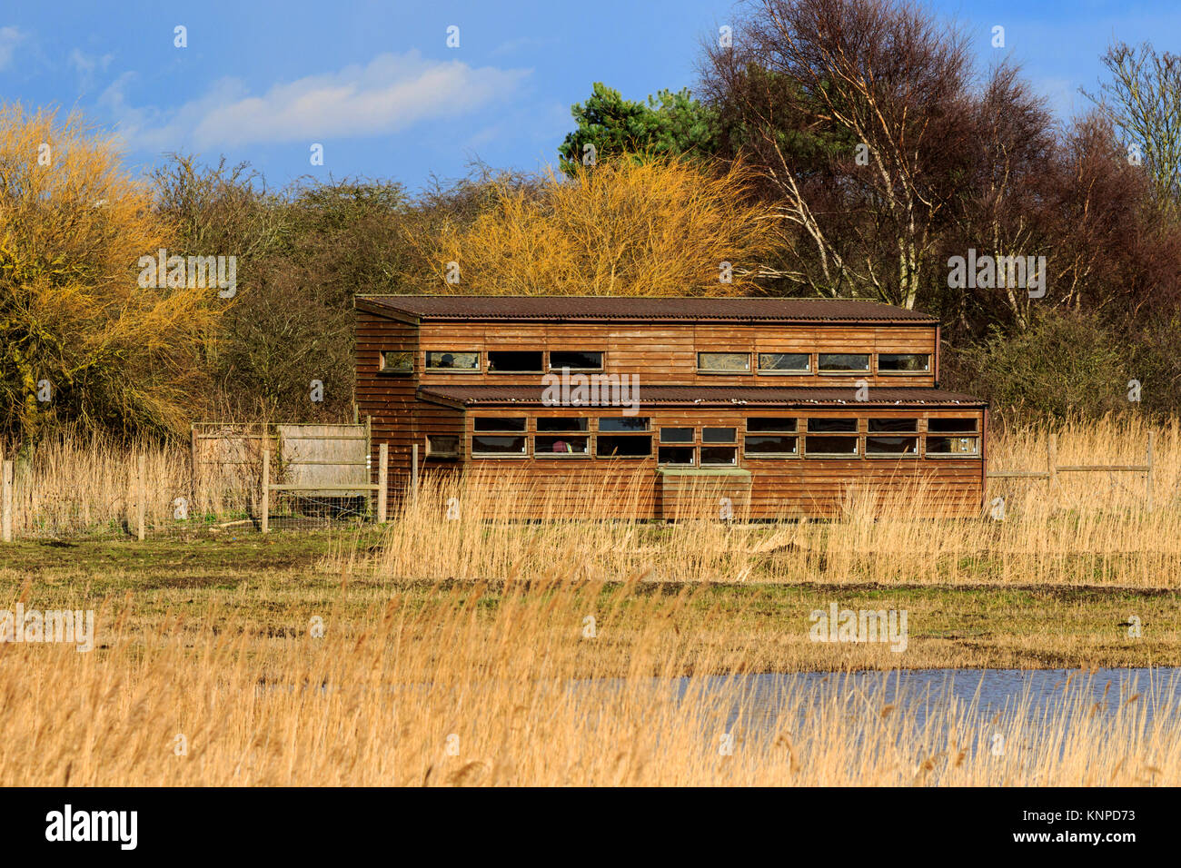 Minsmere bird hide hi-res stock photography and images - Alamy