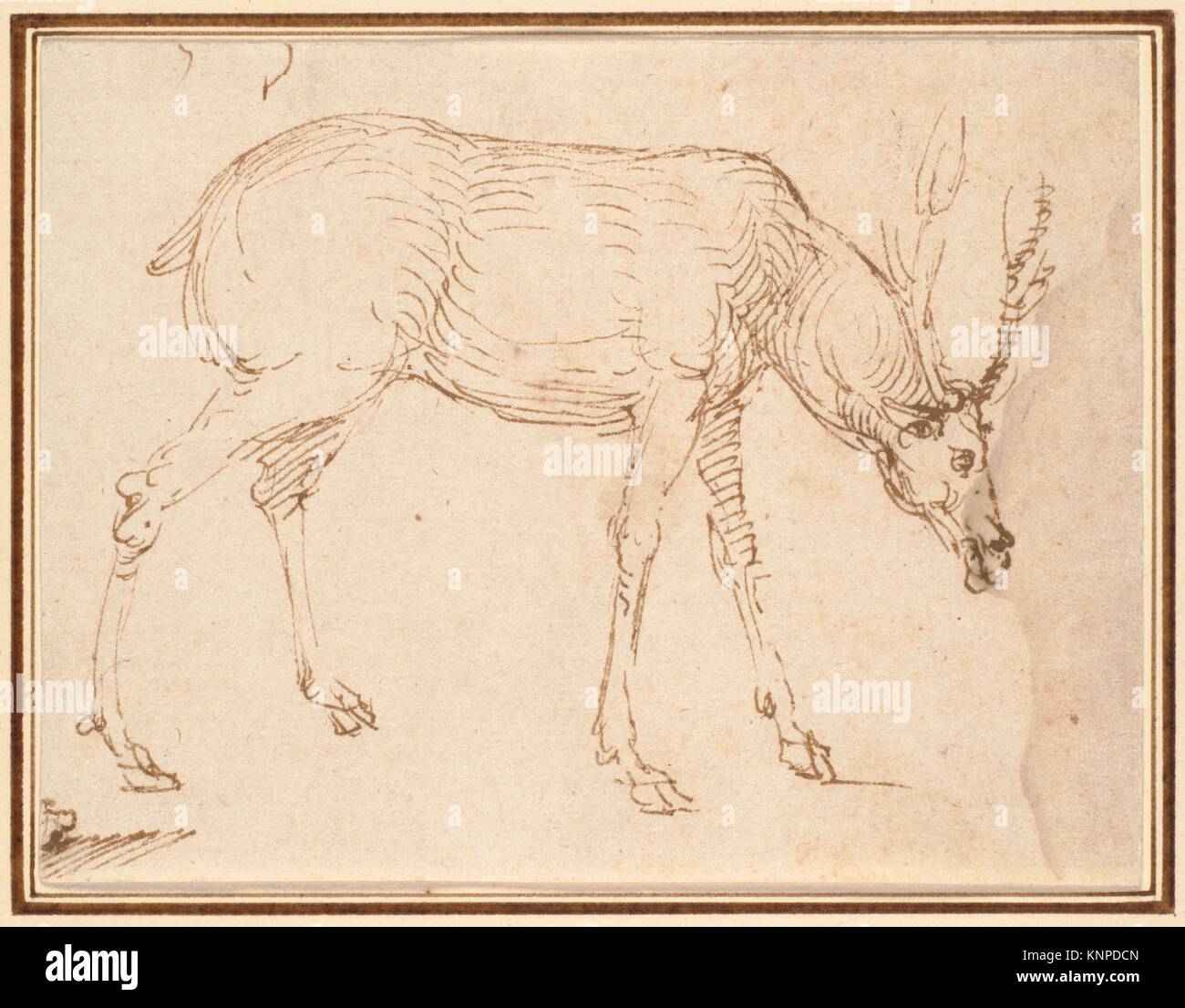 Stefano di giovanni hi-res stock photography and images - Alamy