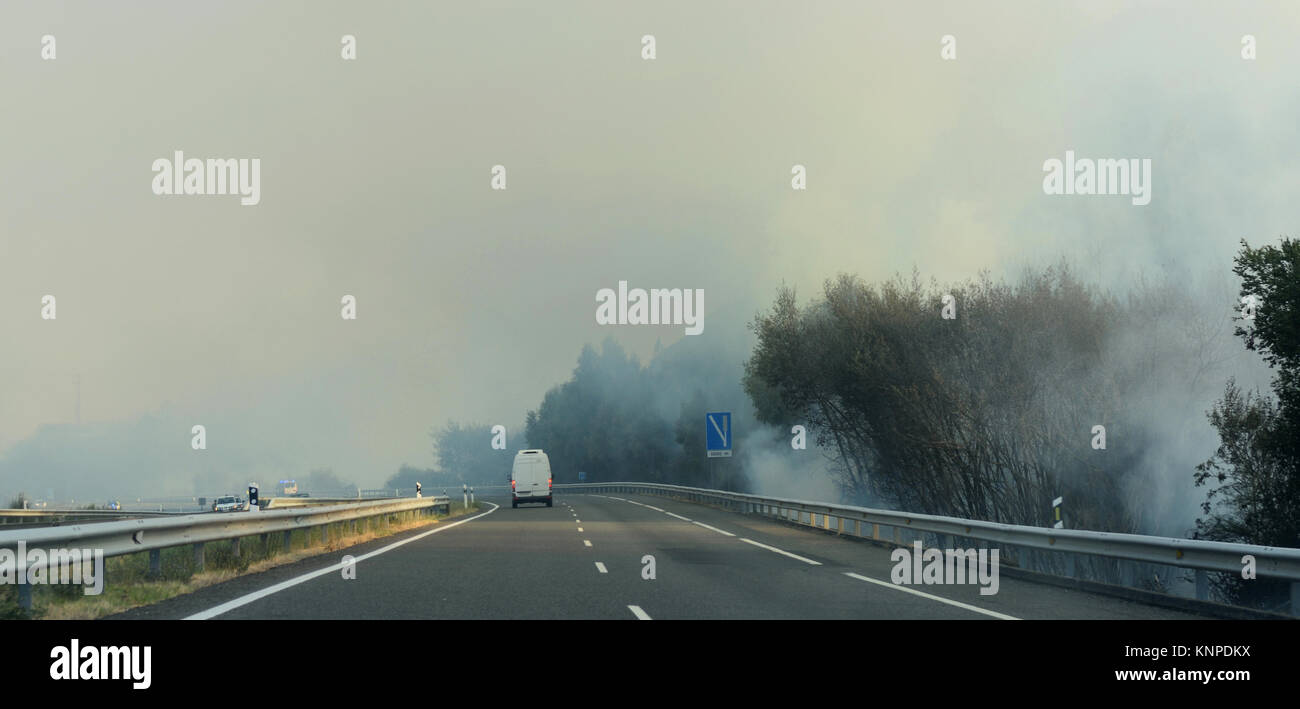 Forest fire on the road Stock Photo - Alamy