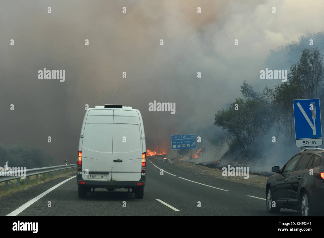 Forest fire on the road Stock Photo - Alamy